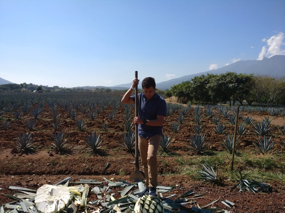 Get to Know NarrativeWave: Diego Cerda